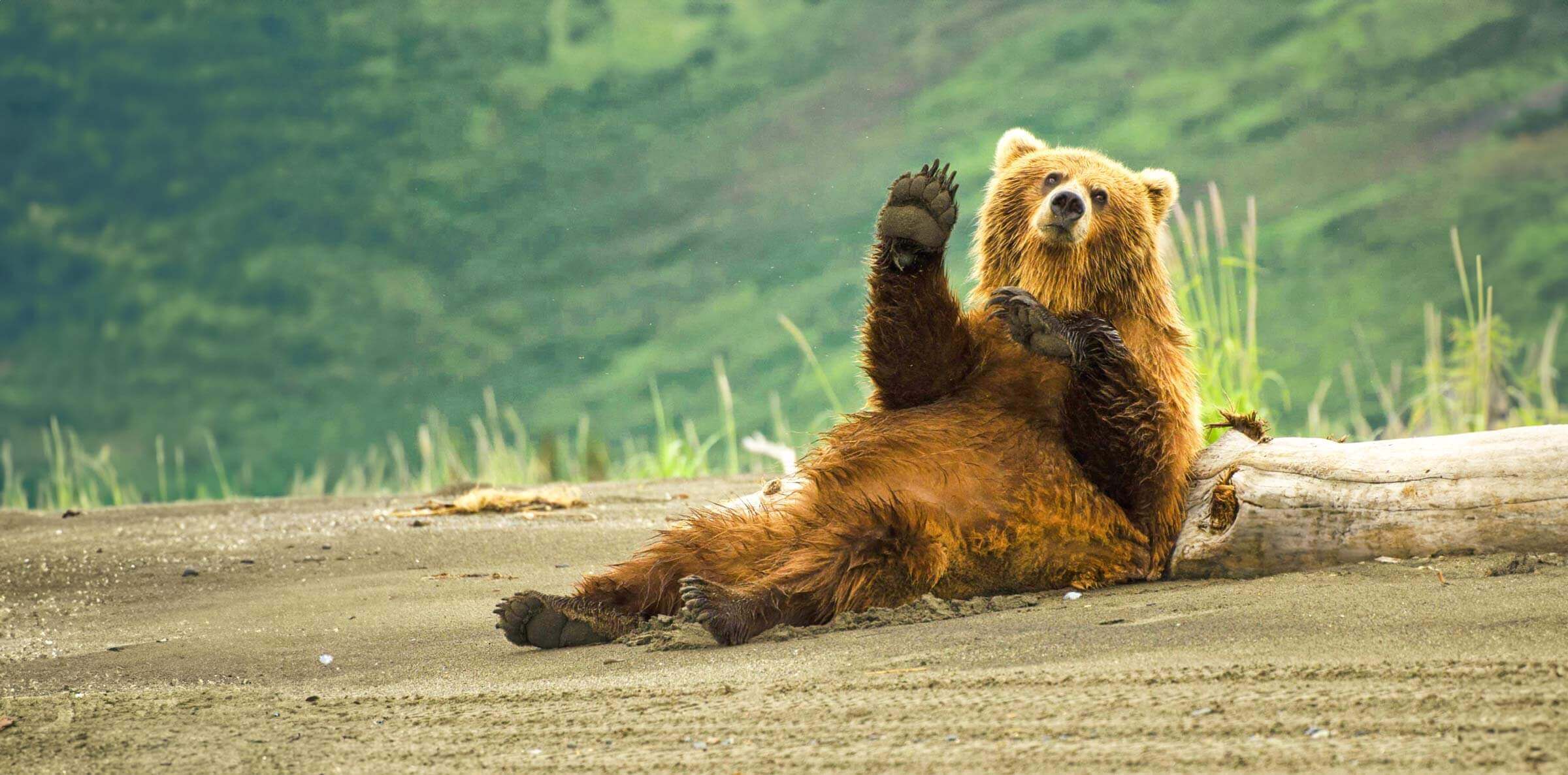 Big on Careers - Diversified Plastics, Inc.